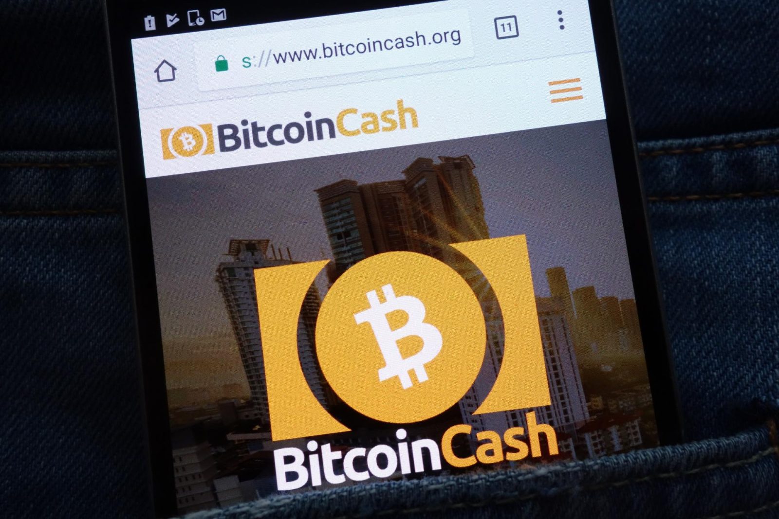 What is behind Bitcoin Cash Growth?