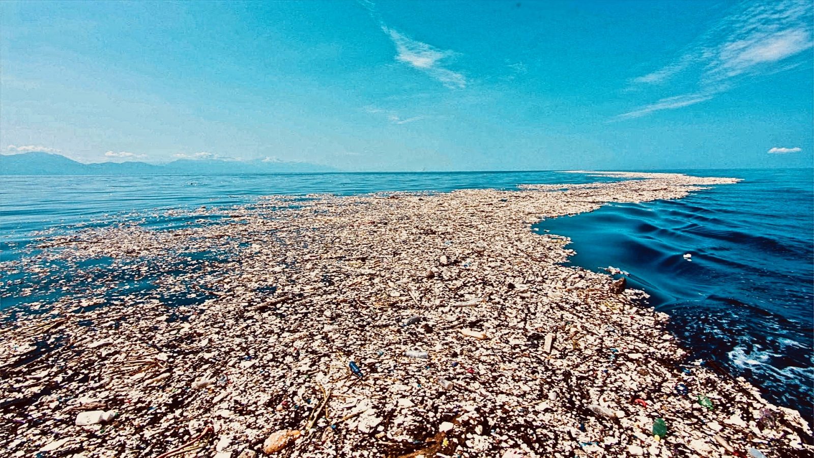 What is hidden under marine debris? Google founder’s NGO makes ...