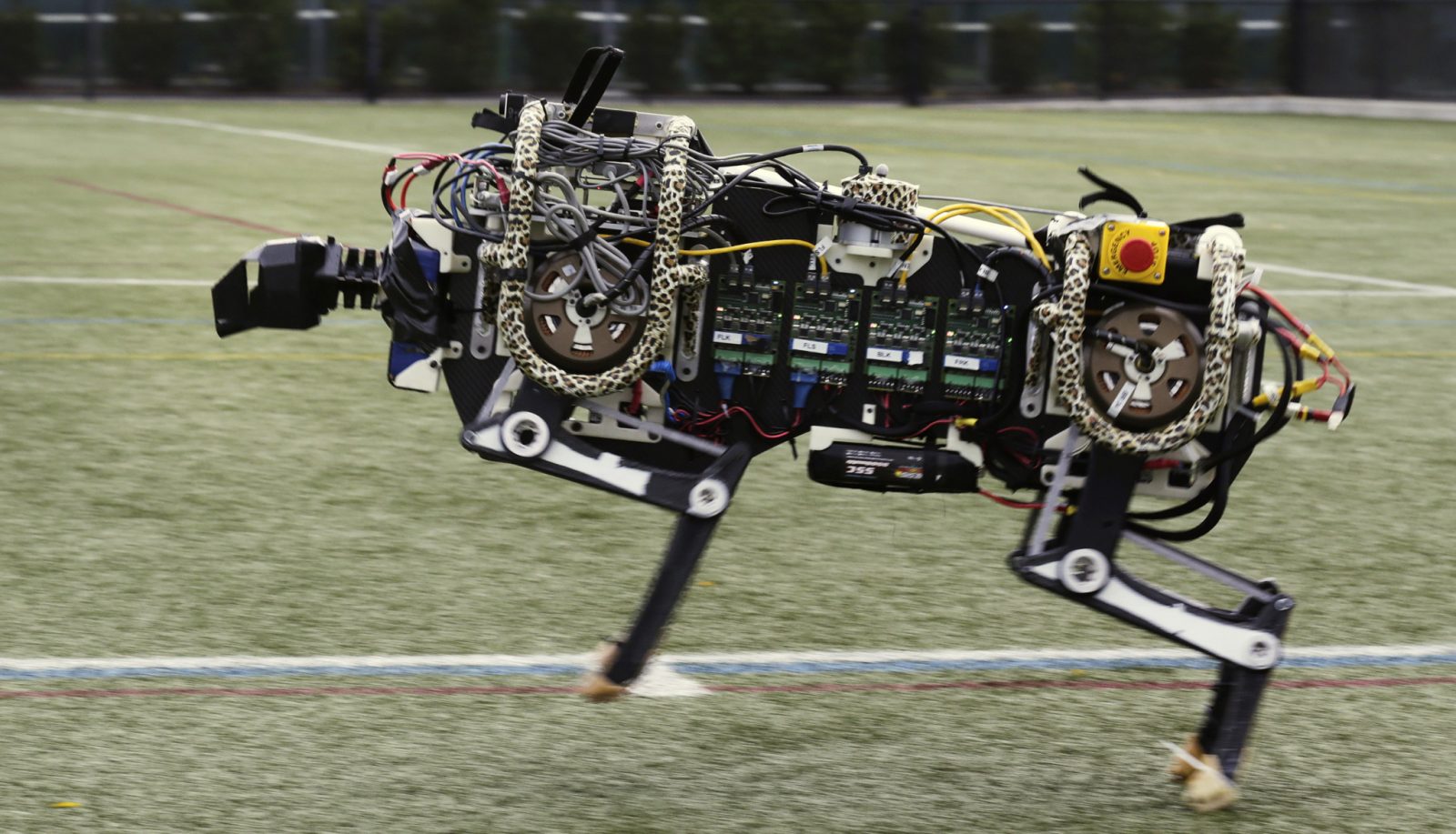 The Cheetah robot learns acrobatic tricks