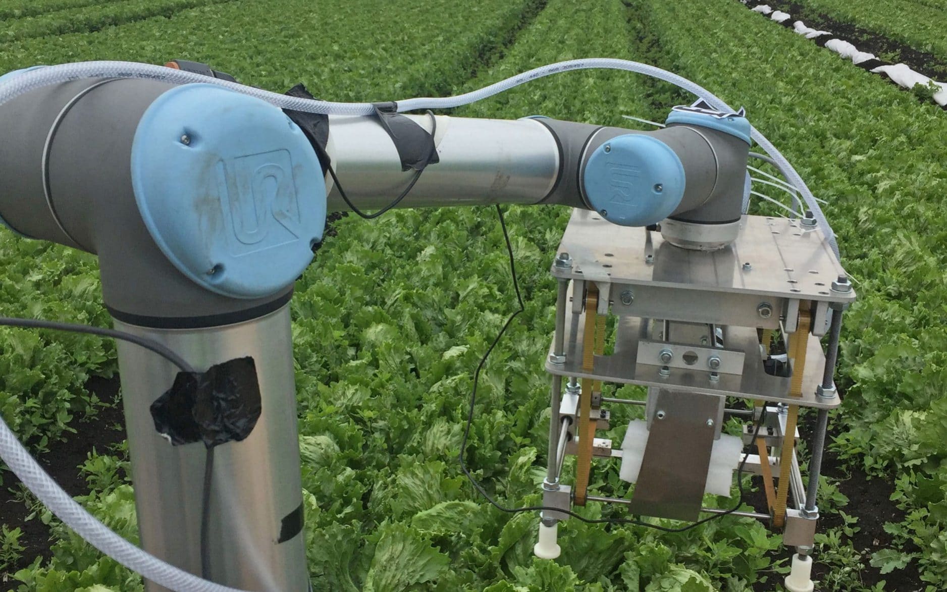 Vegebot Agricultural Robot Working on British Garden Beds - Hitecher Vegebot Agricultural Robot Working on British Garden Beds - Hitecher