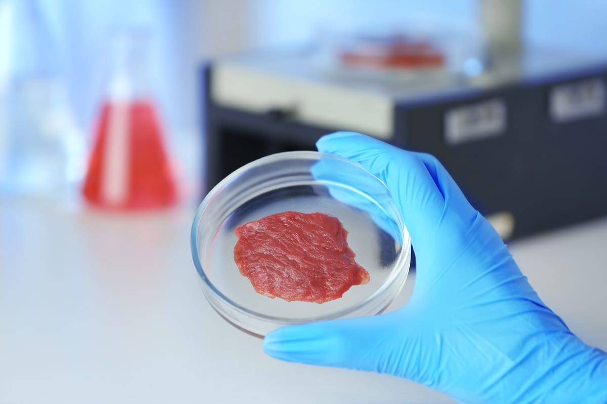 Aleph Farms grows meat on ISS for the first time