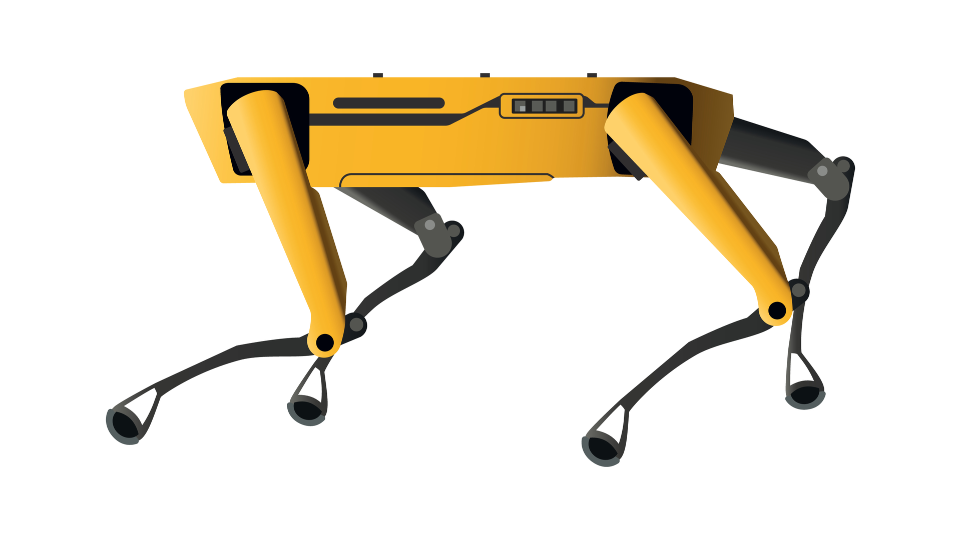 Spot Robot becomes a shepherd in New Zealand