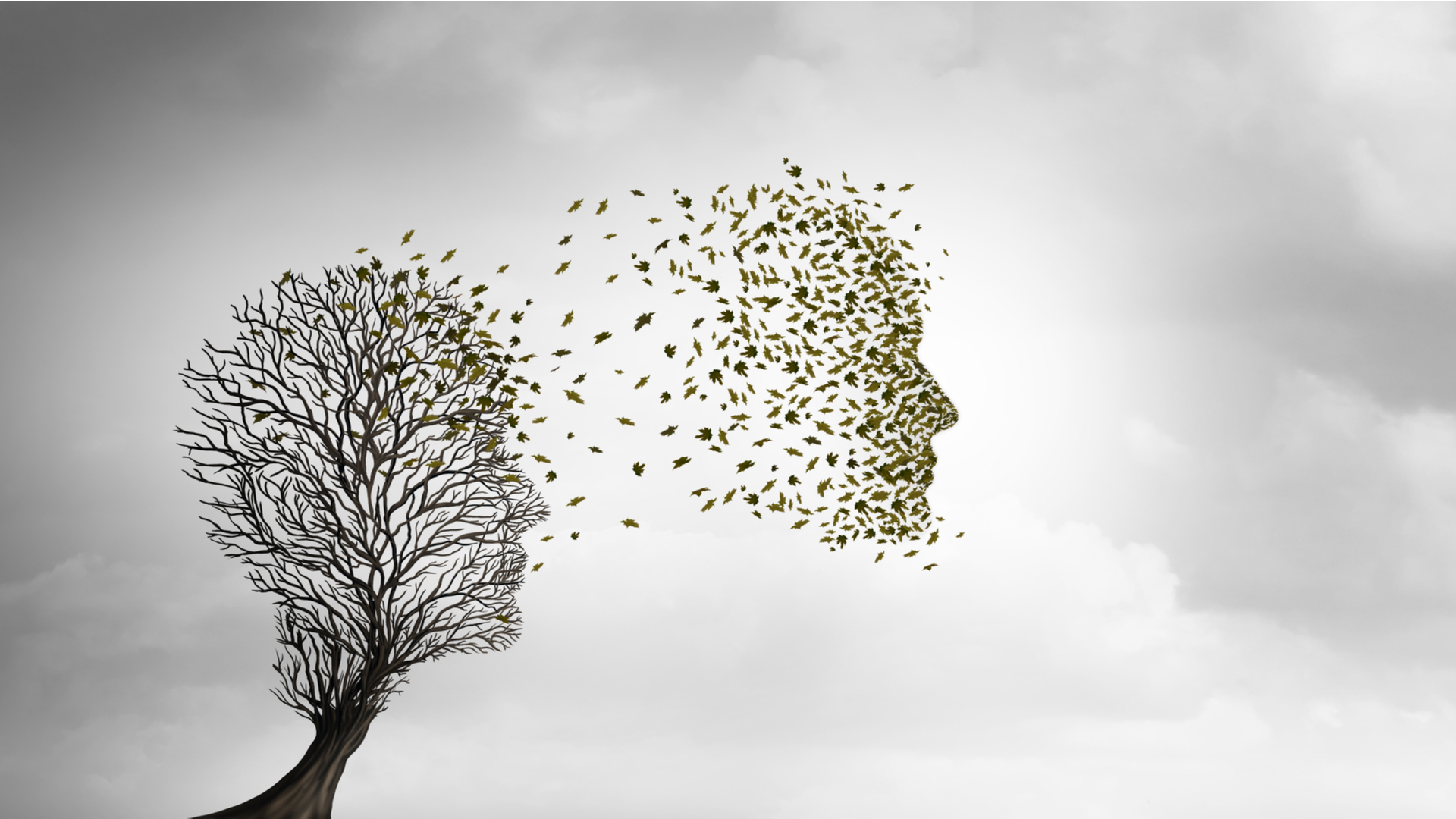 The elixir of immortality: is there any chance that humans could live ...