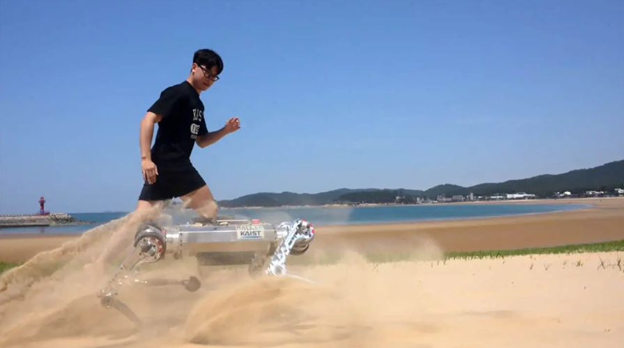 Scientists create an advanced robot dog named RaiBo