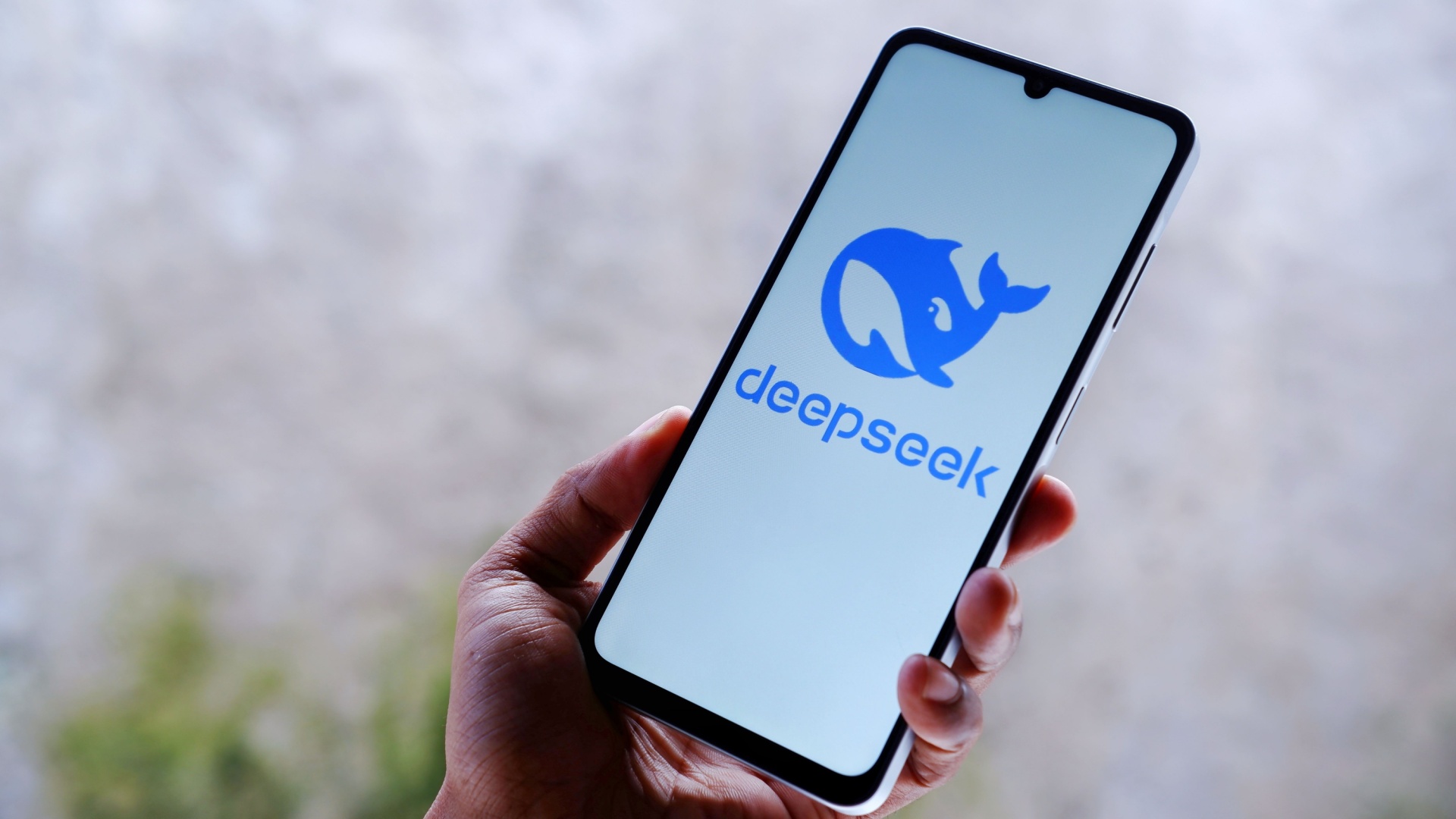 What exactly is China's DeepSeek neural network, and how has it changed ...